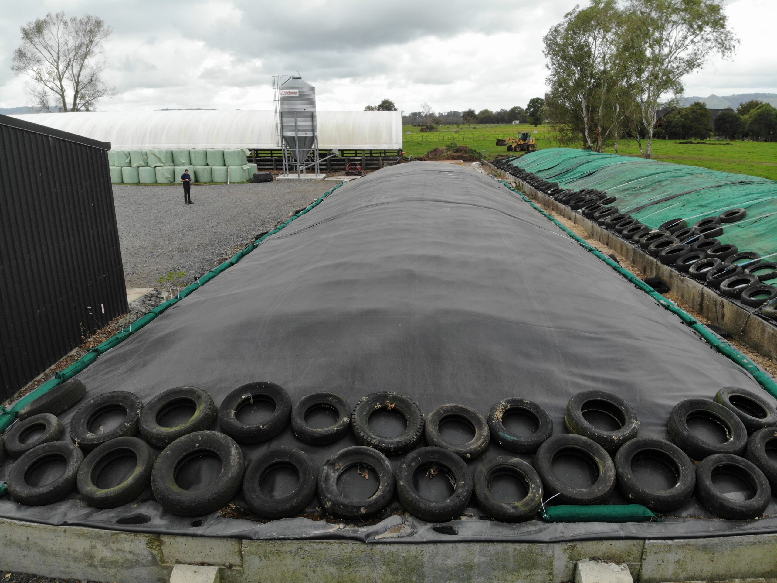 GeoSmart Silage cover – No more Bird Damage – Dairy News June 2023 ...